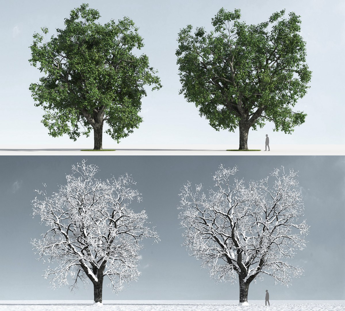 Trees Model - TurboSquid 1349216