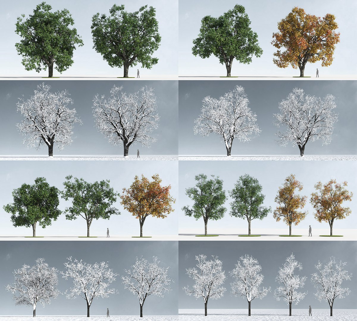 Trees Model - TurboSquid 1349216