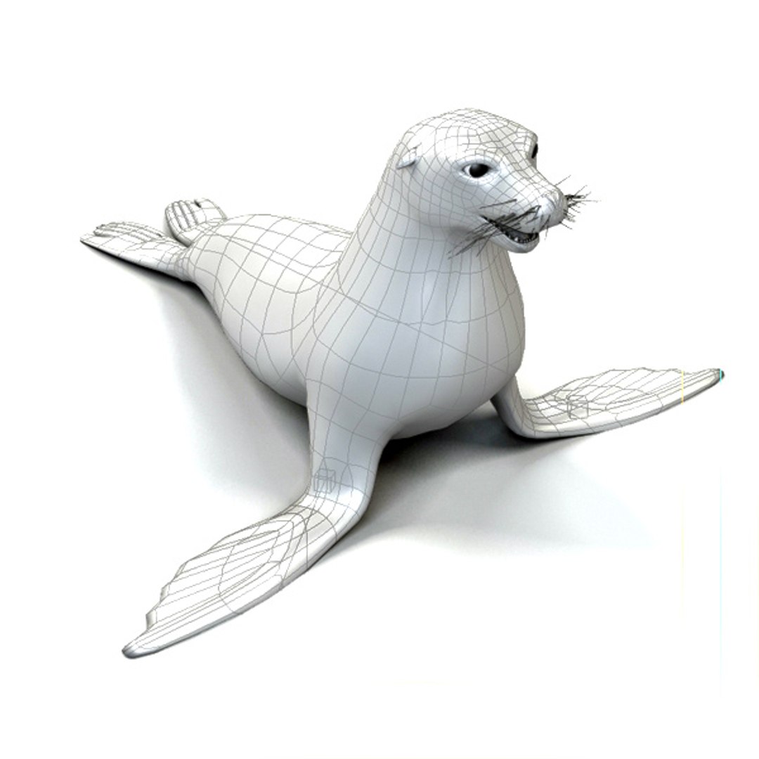 Sea Seal 3d Model