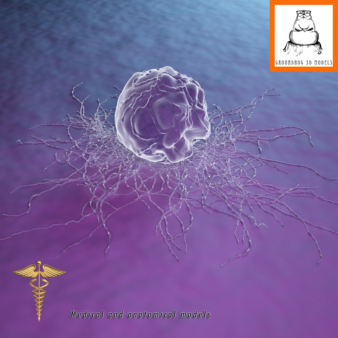 Stem Cell Microscopic 3d Fbx