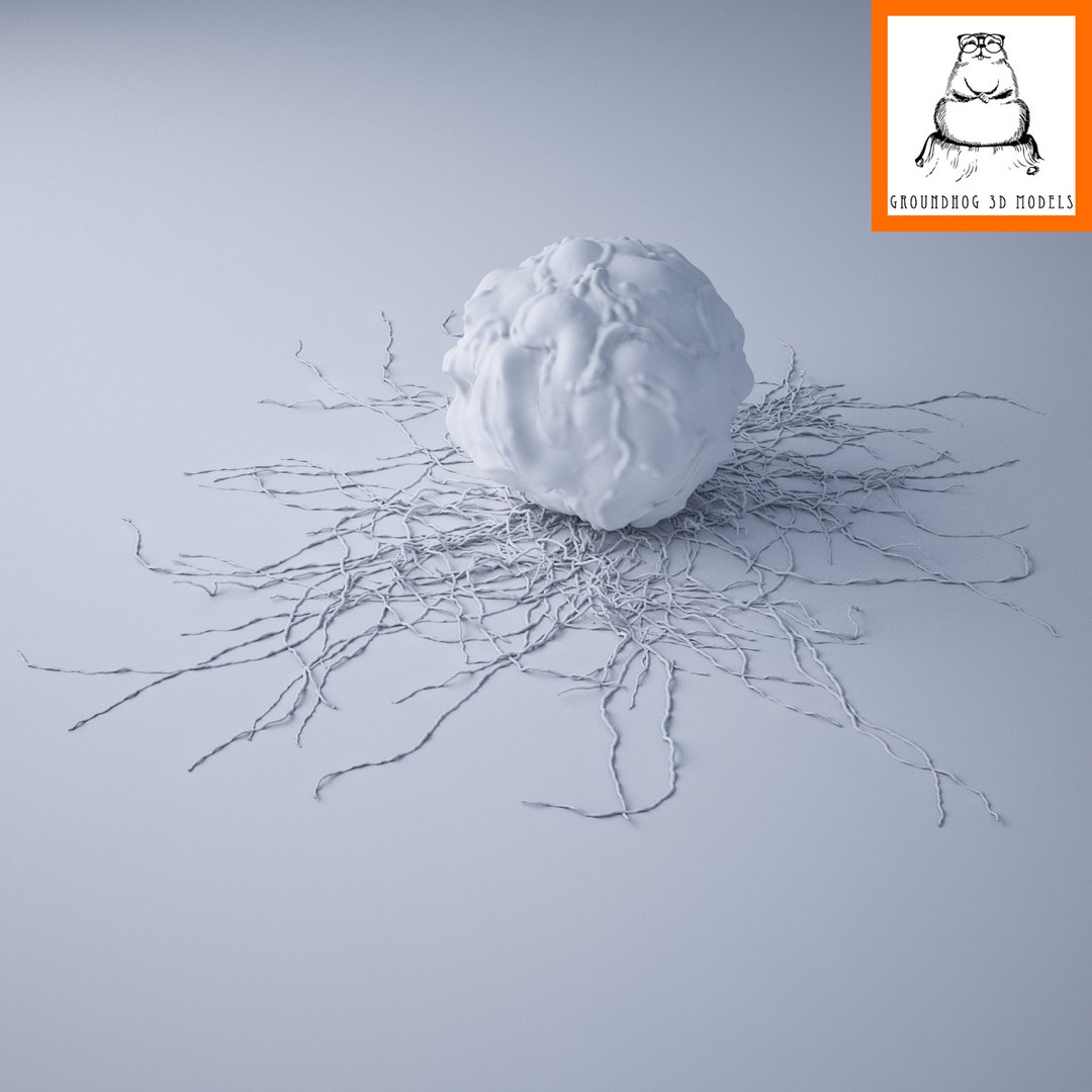 Stem Cell Microscopic 3d Fbx