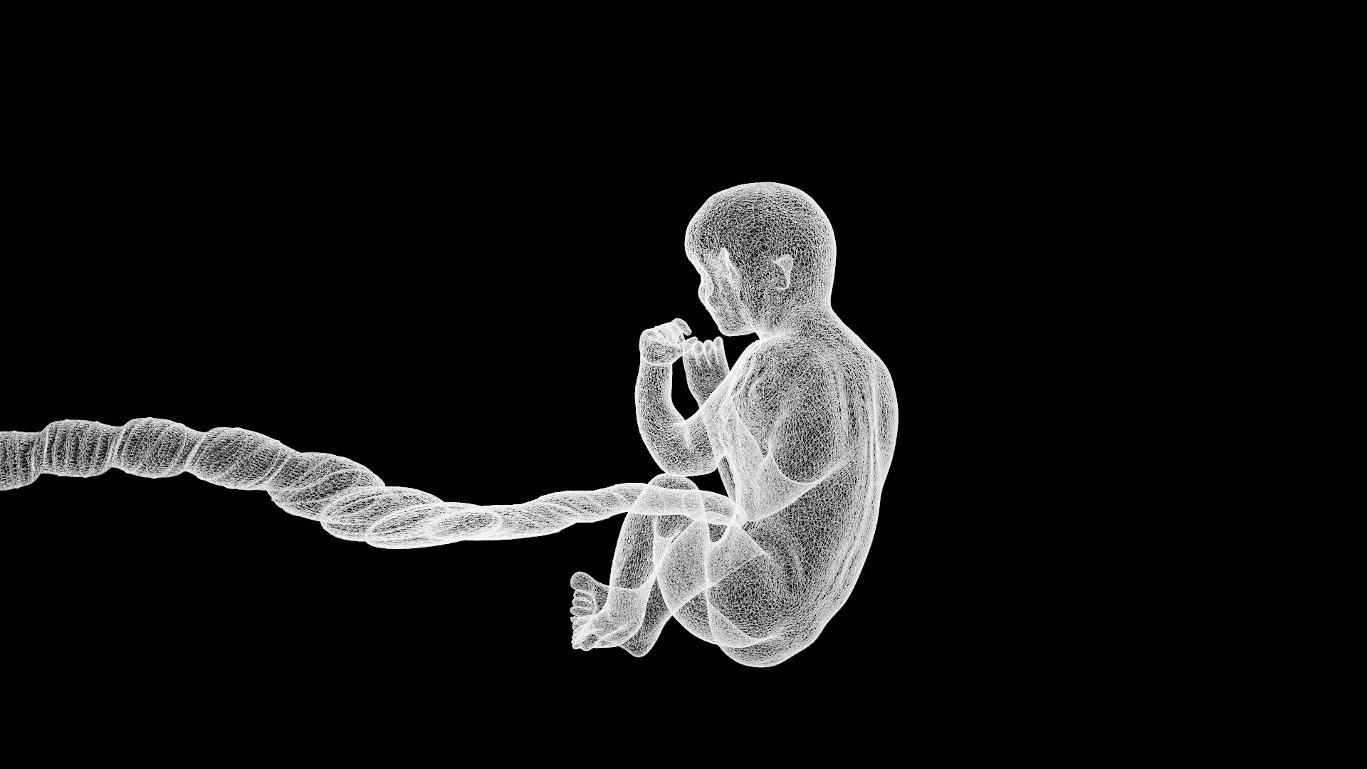 Fetus Model - TurboSquid 1858020