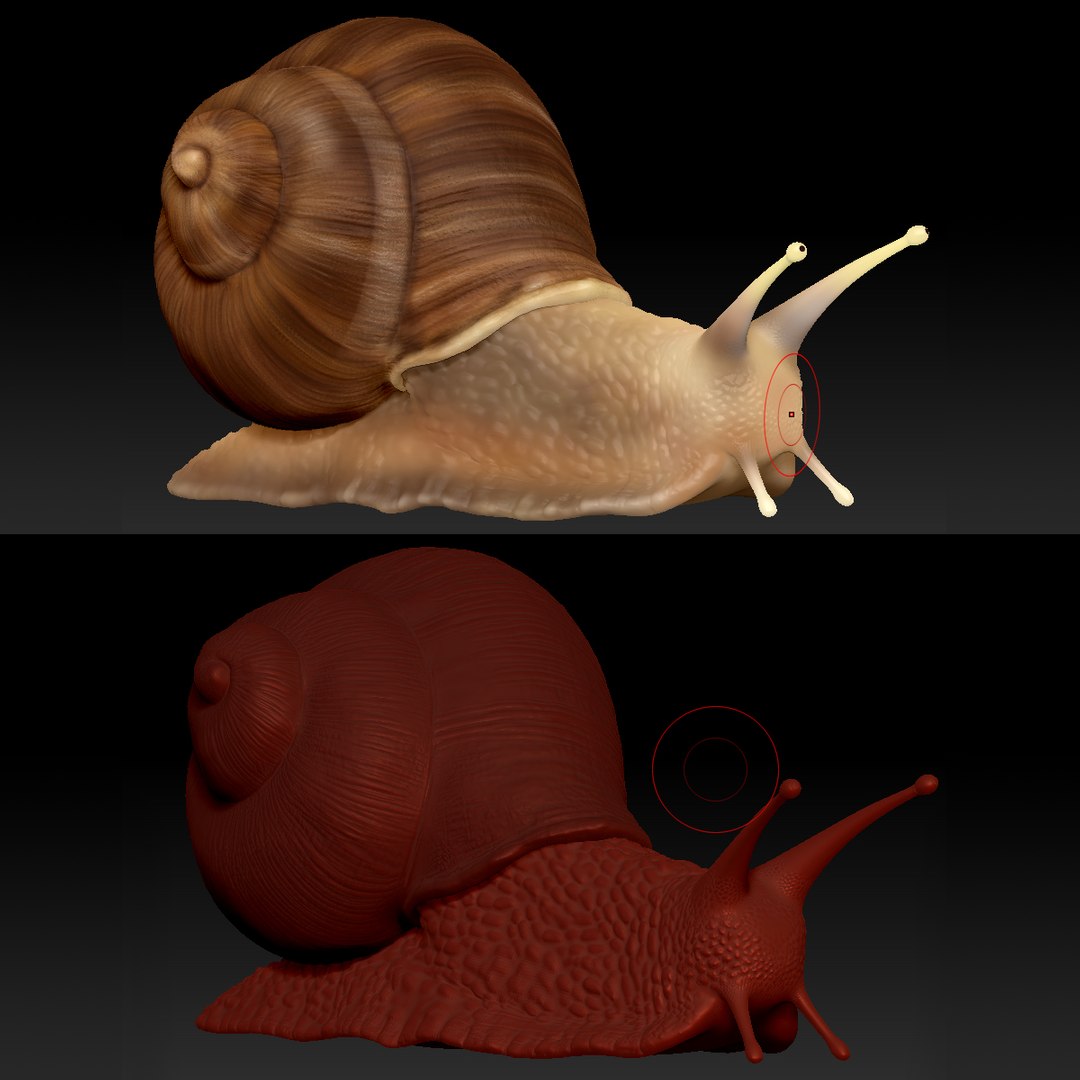 research snail obj