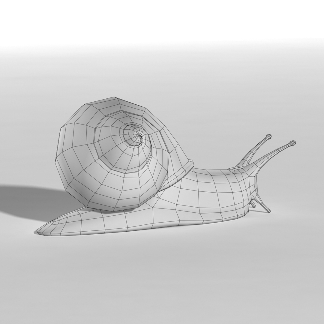 research snail obj