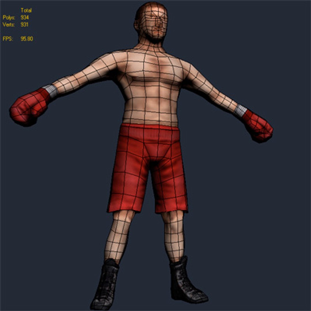 3d Rigged Boxer