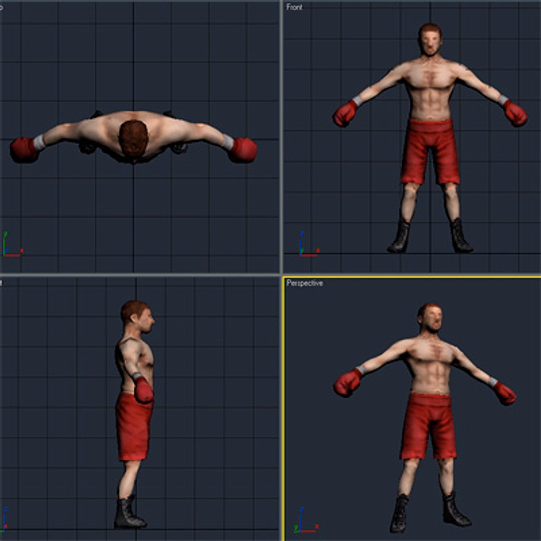 3d Rigged Boxer