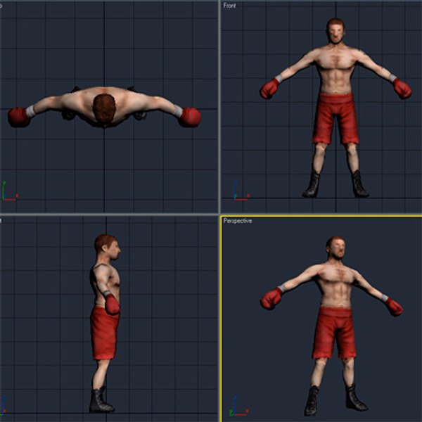 3d rigged boxer