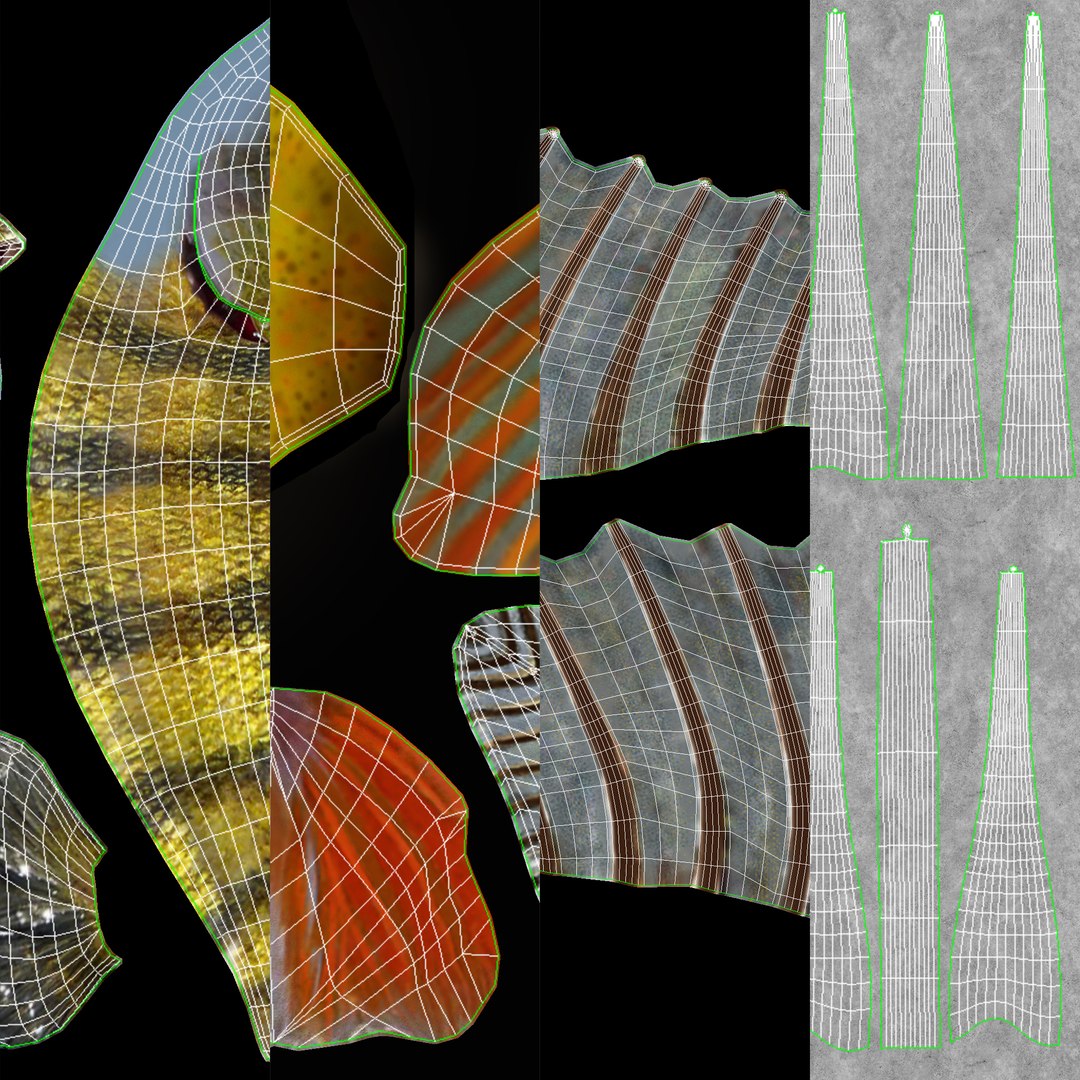 3D Perch Fish - TurboSquid 1535931