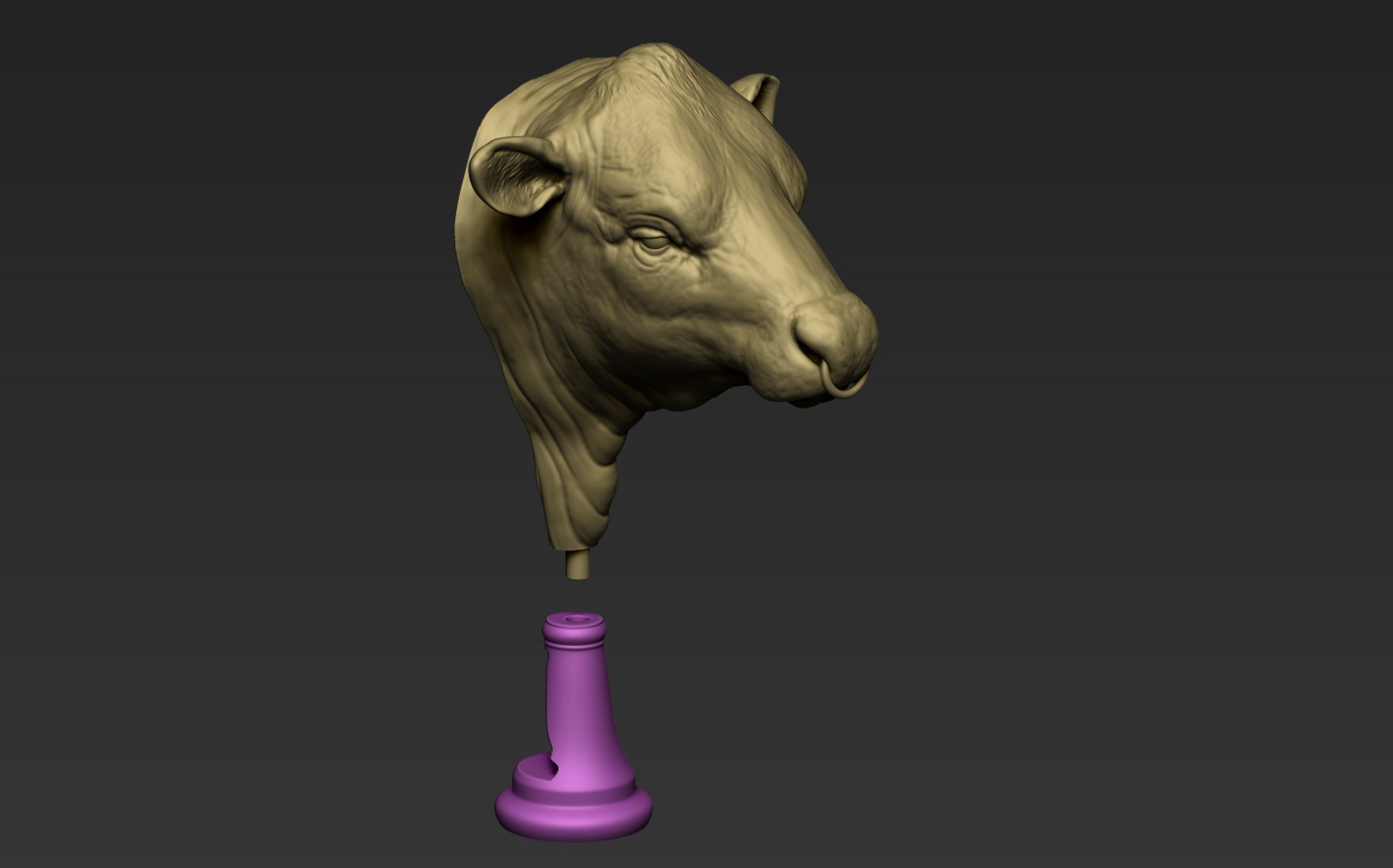 Angus Bull Model - TurboSquid 1932962