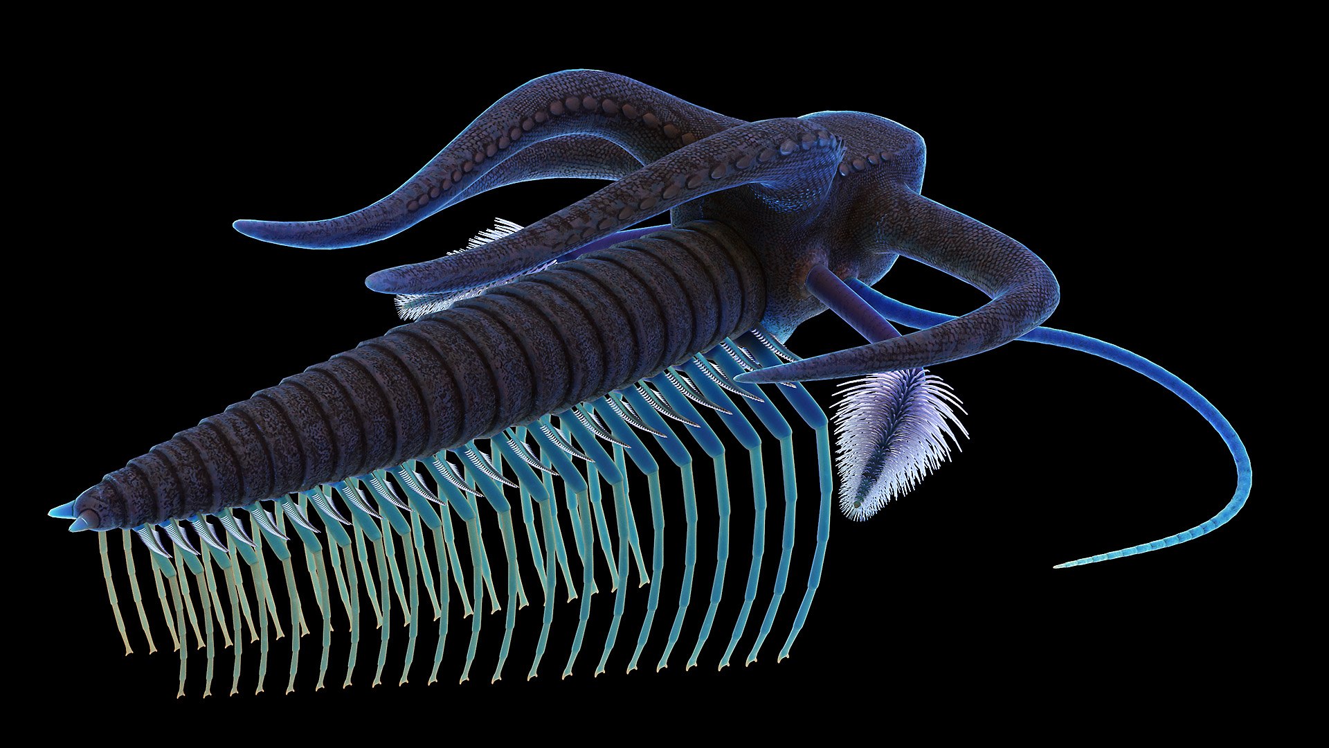 3D Model Marella Static - TurboSquid 1773412