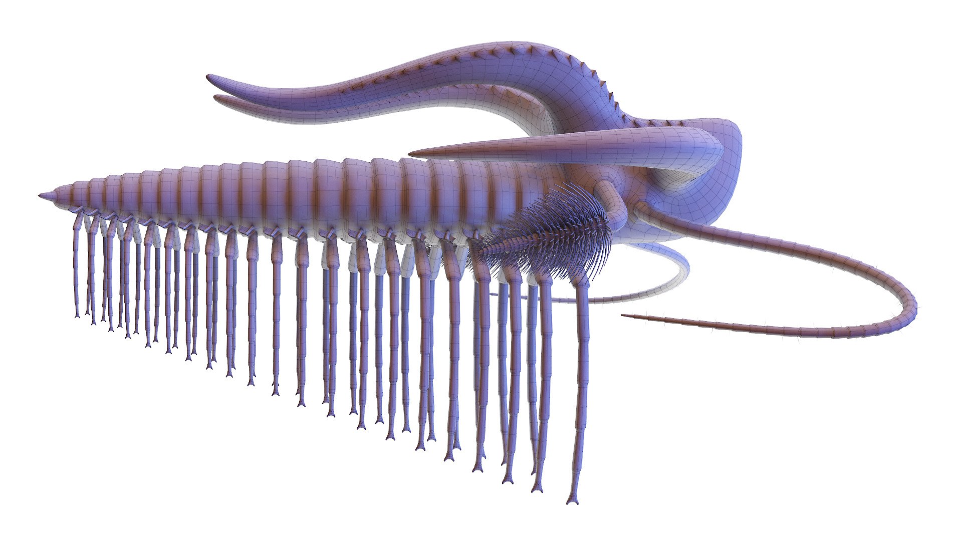 3D Model Marella Static - TurboSquid 1773412