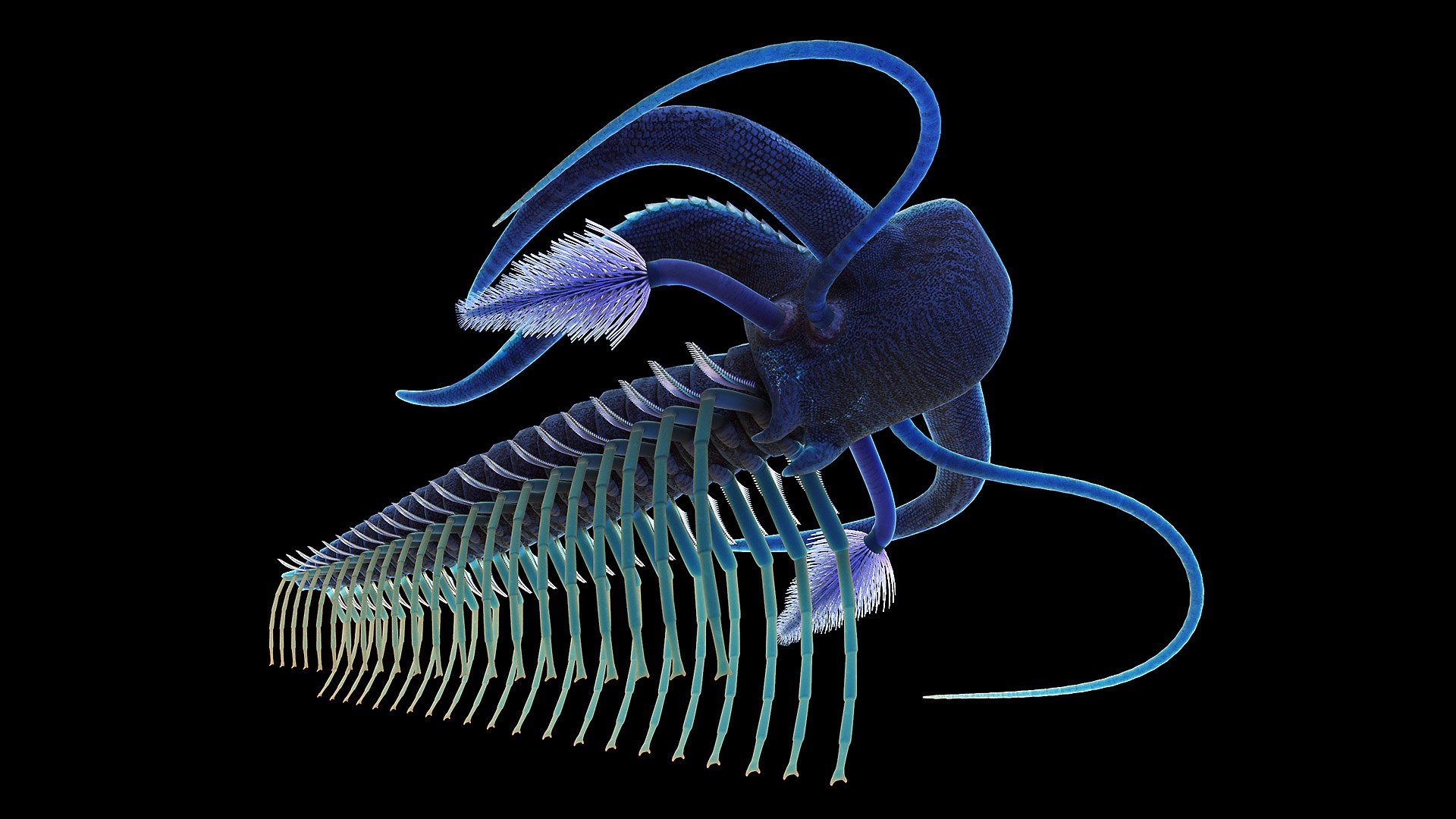 3D Model Marella Static - TurboSquid 1773412