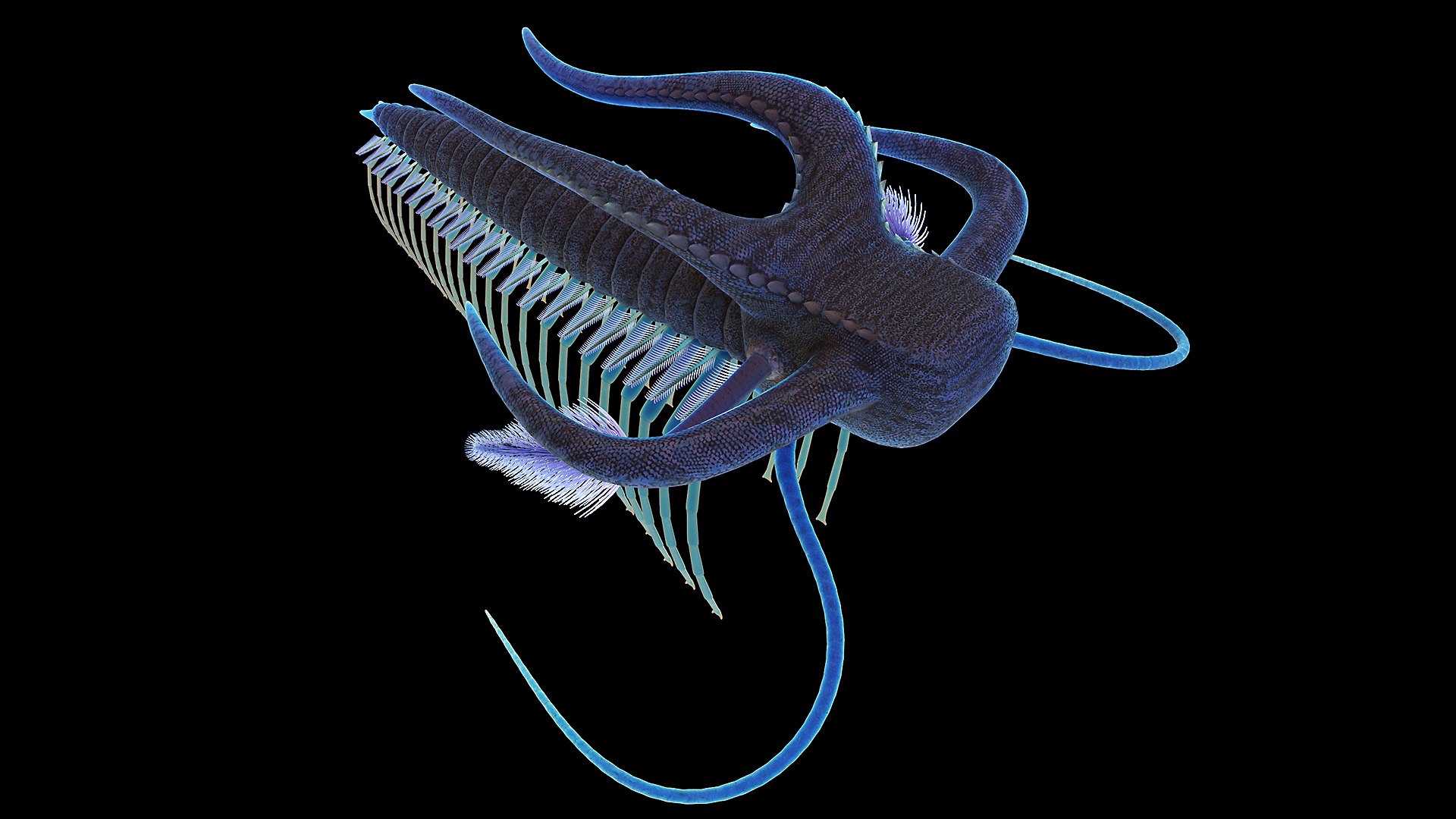 3D Model Marella Static - TurboSquid 1773412