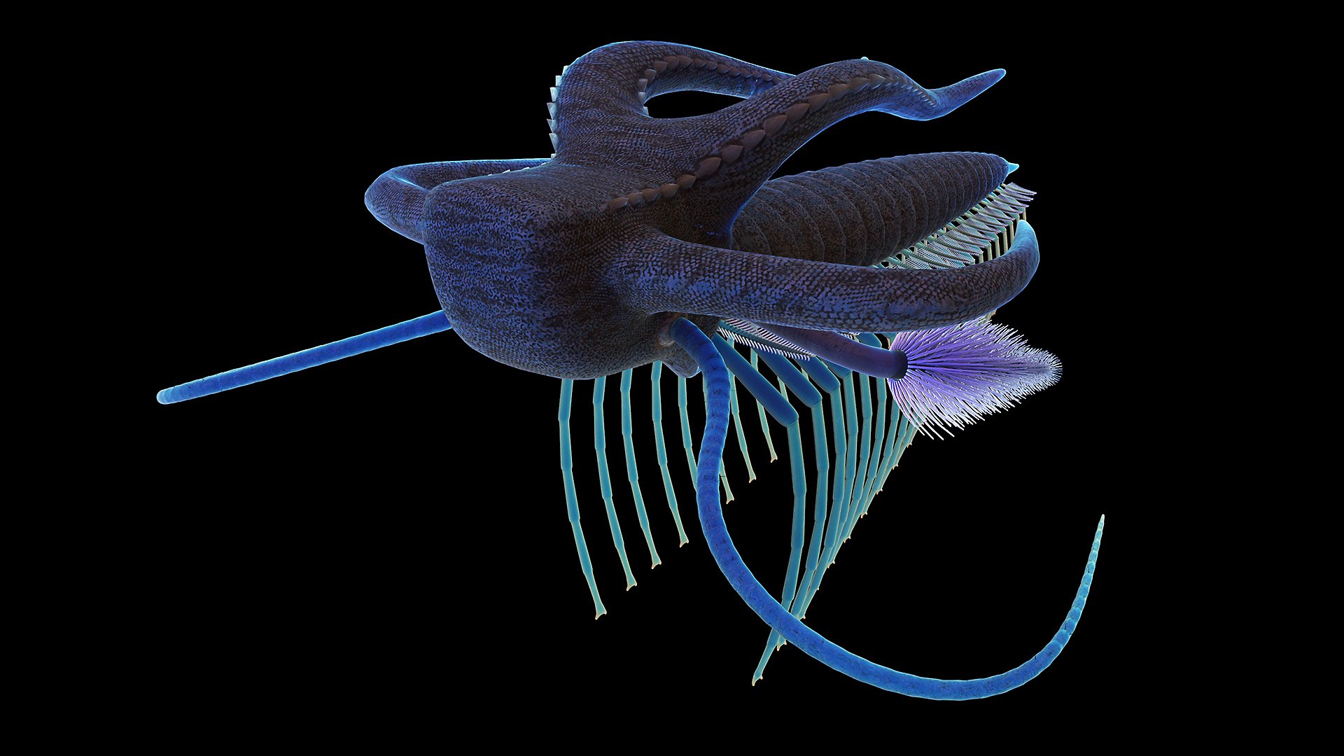 3D Model Marella Static - TurboSquid 1773412