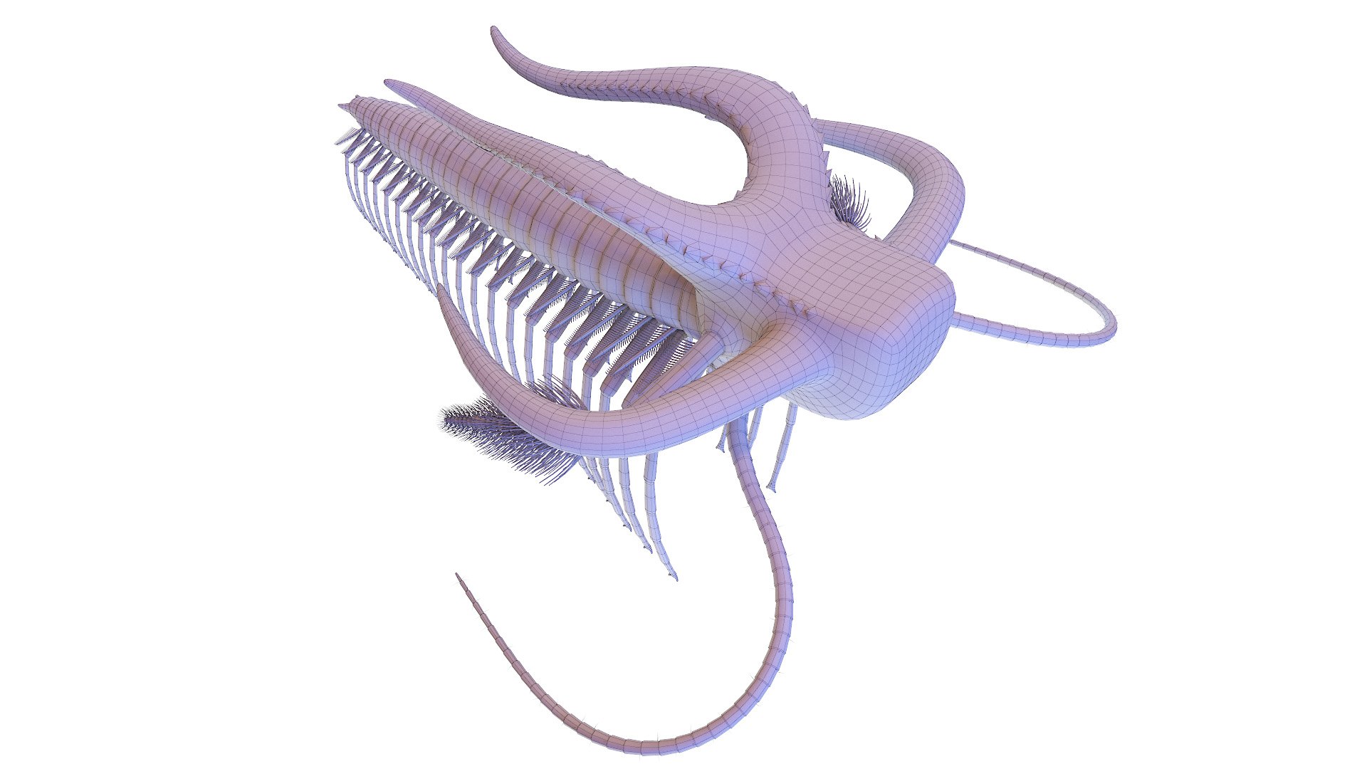 3D Model Marella Static - TurboSquid 1773412
