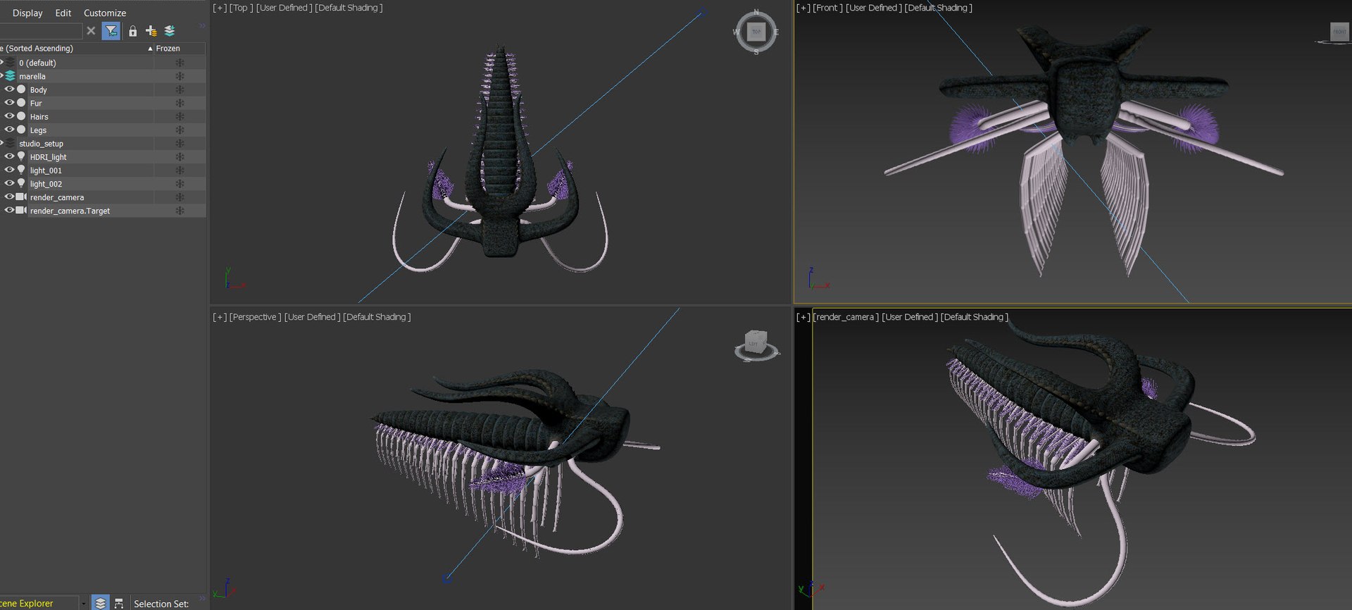 3D Model Marella Static - TurboSquid 1773412