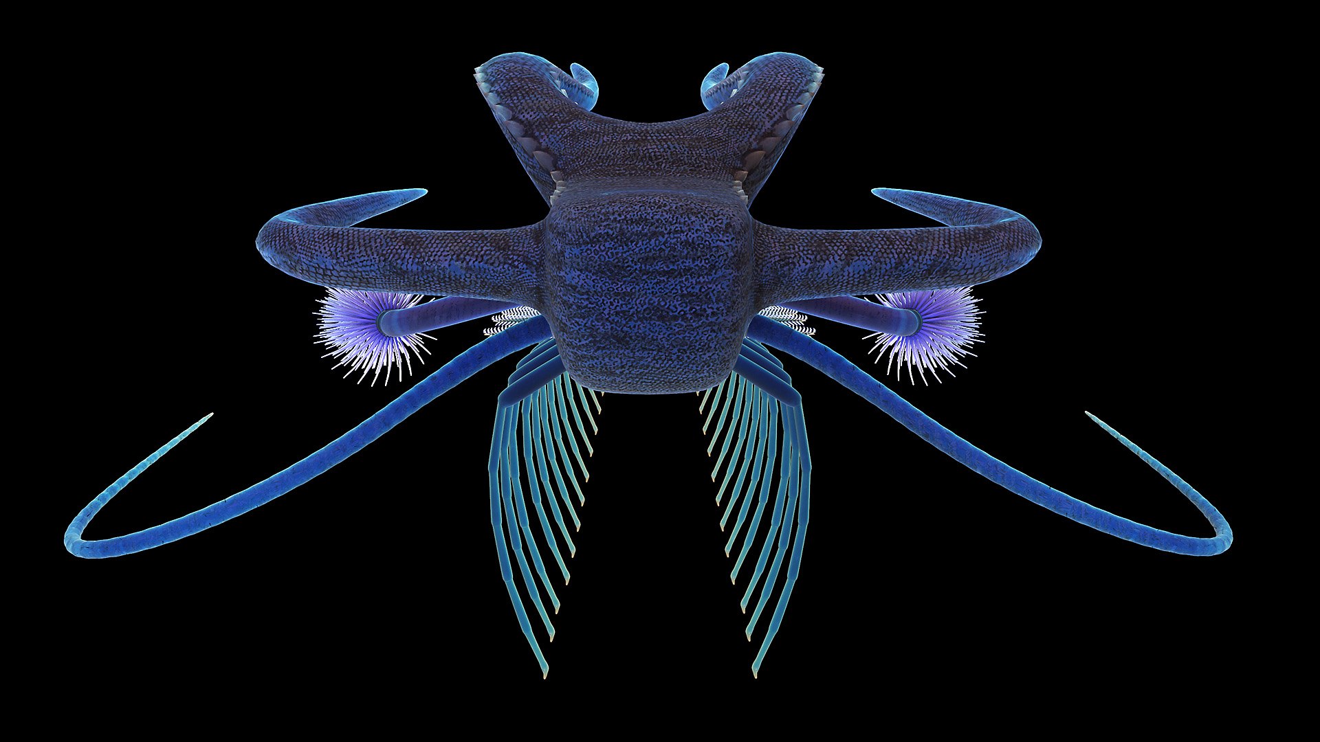 3D Model Marella Static - TurboSquid 1773412