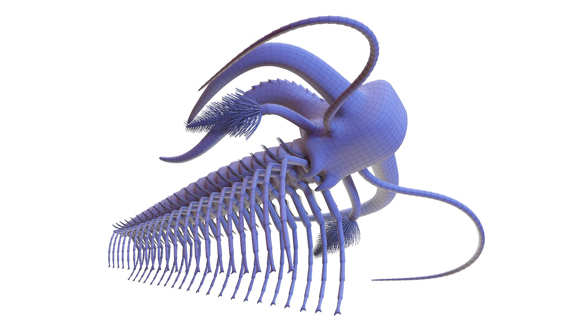 3D Model Marella Static - TurboSquid 1773412