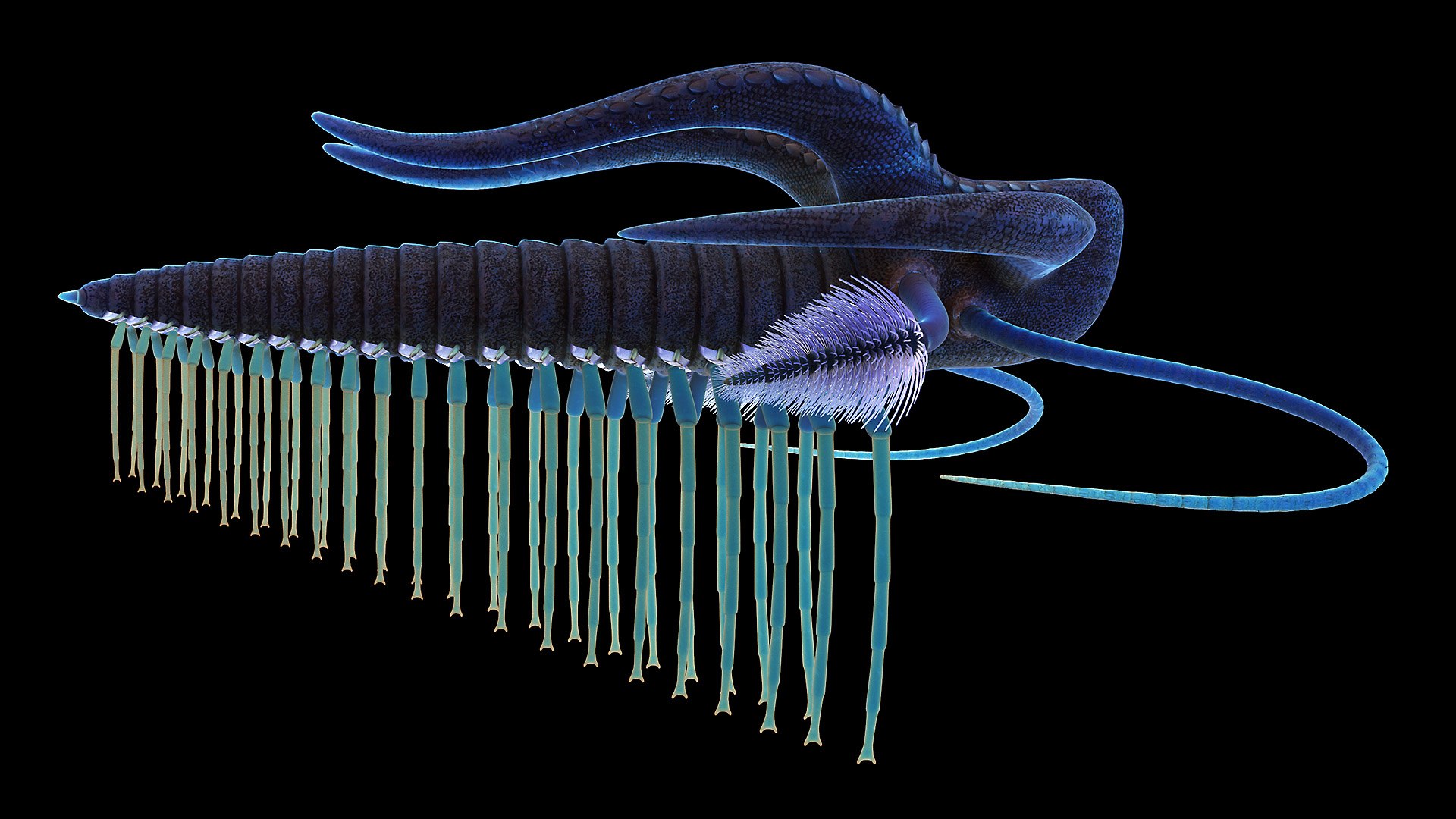 3D Model Marella Static - TurboSquid 1773412