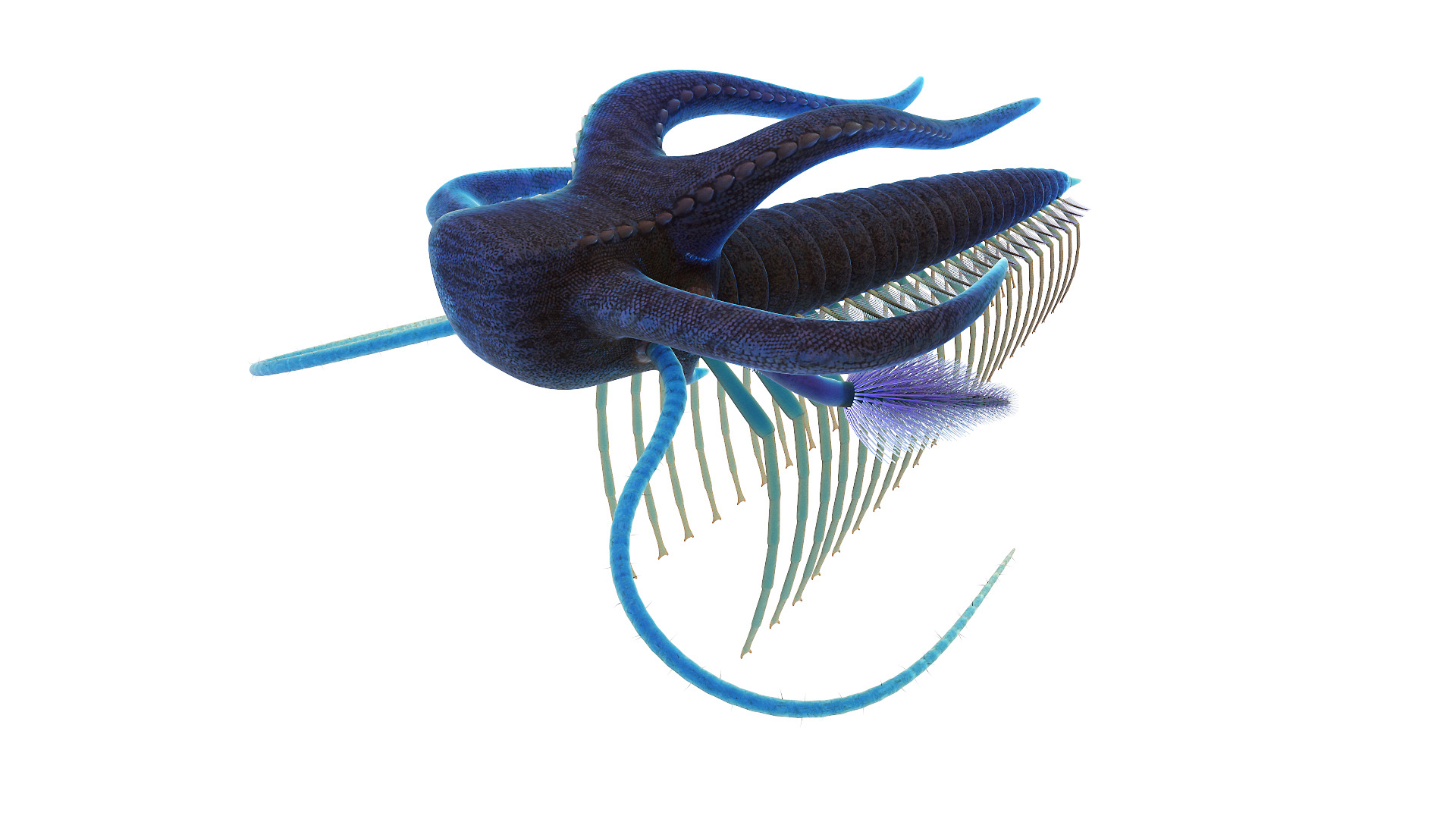 3D Model Marella Static - TurboSquid 1773412