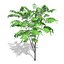 3d Obj Sumac Tree