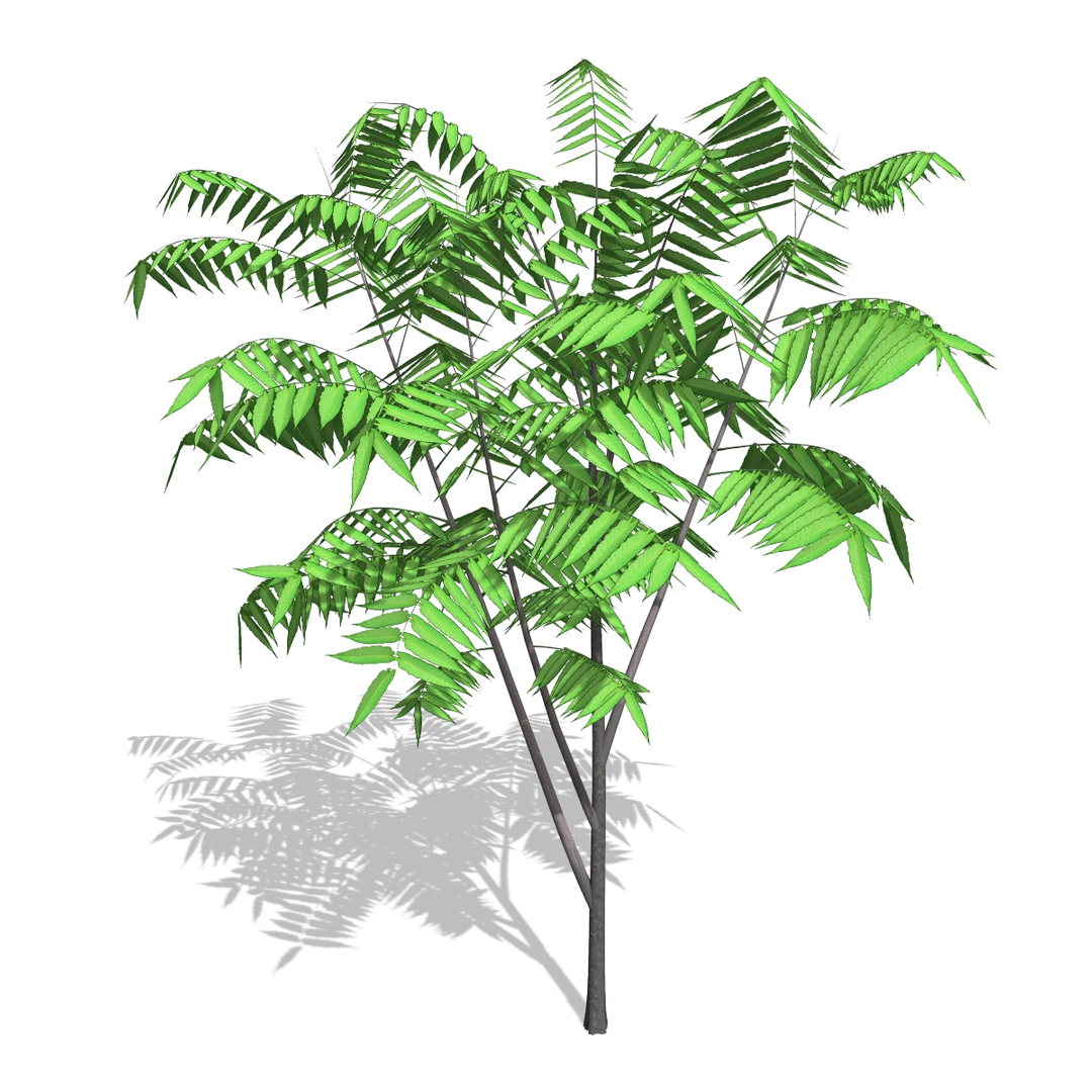 3d Obj Sumac Tree