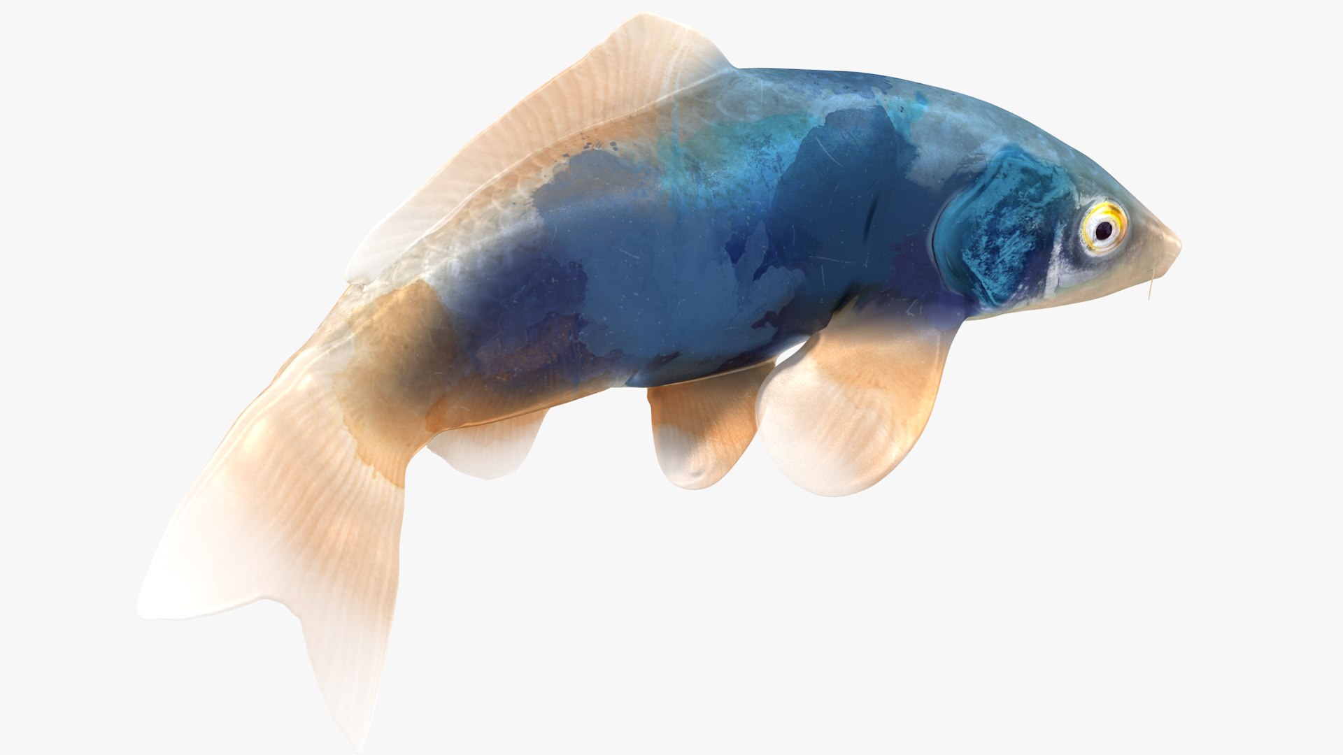 3D model Japanese Carp Fish Rigged L1834 - TurboSquid 1968139