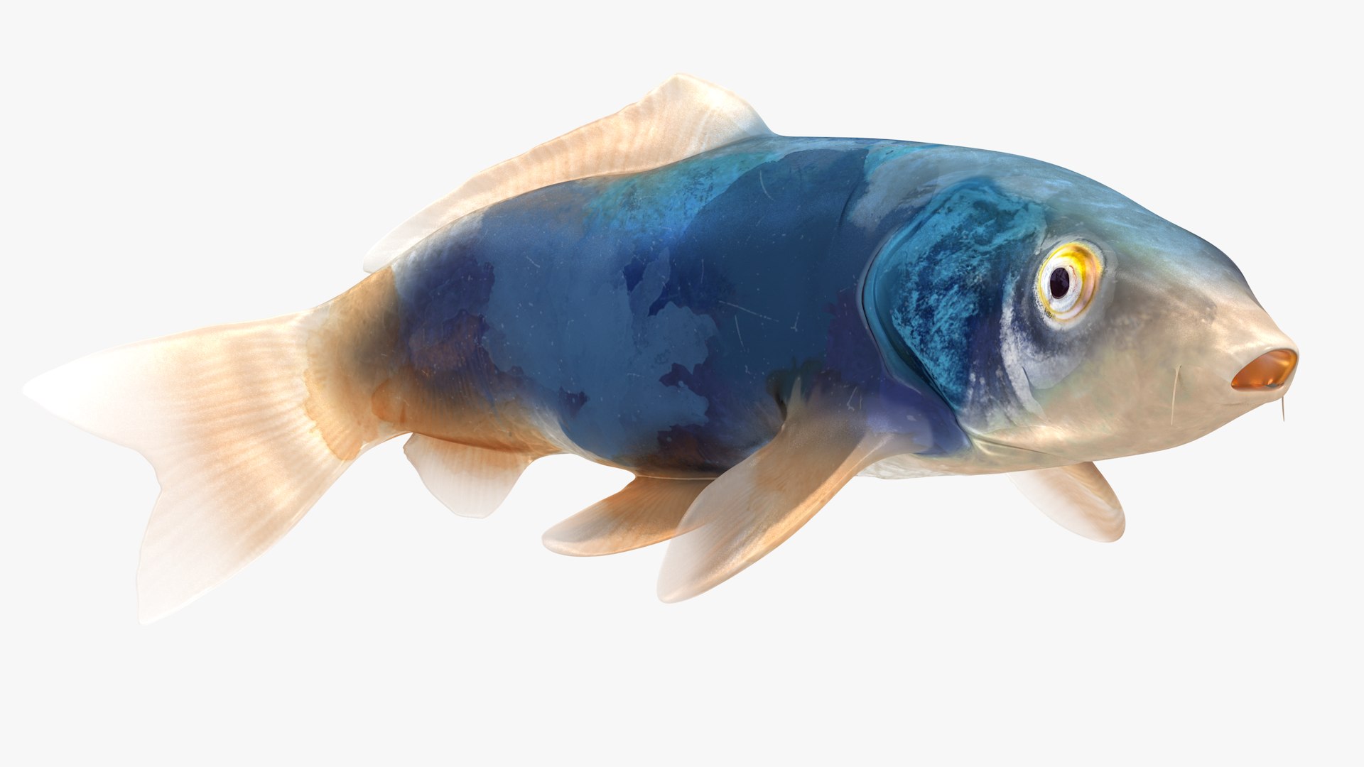 3D model Japanese Carp Fish Rigged L1834 - TurboSquid 1968139