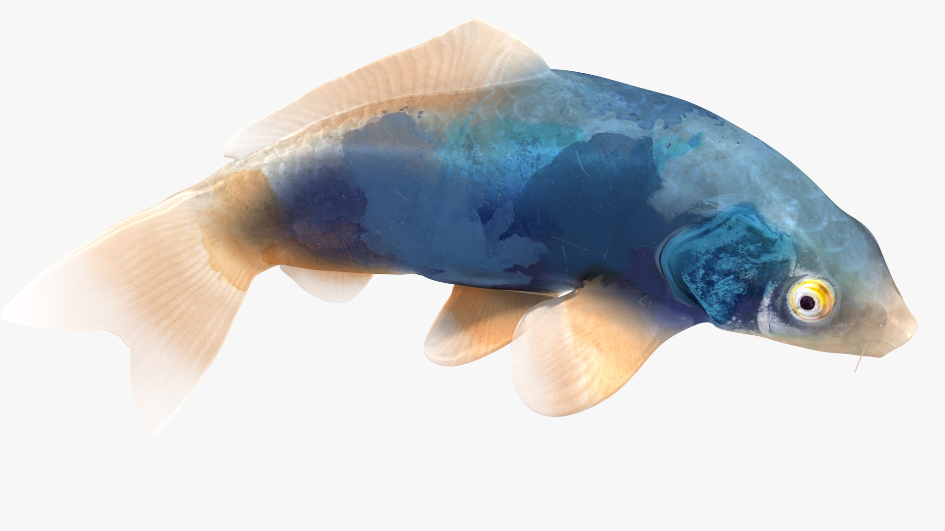 3D model Japanese Carp Fish Rigged L1834 - TurboSquid 1968139