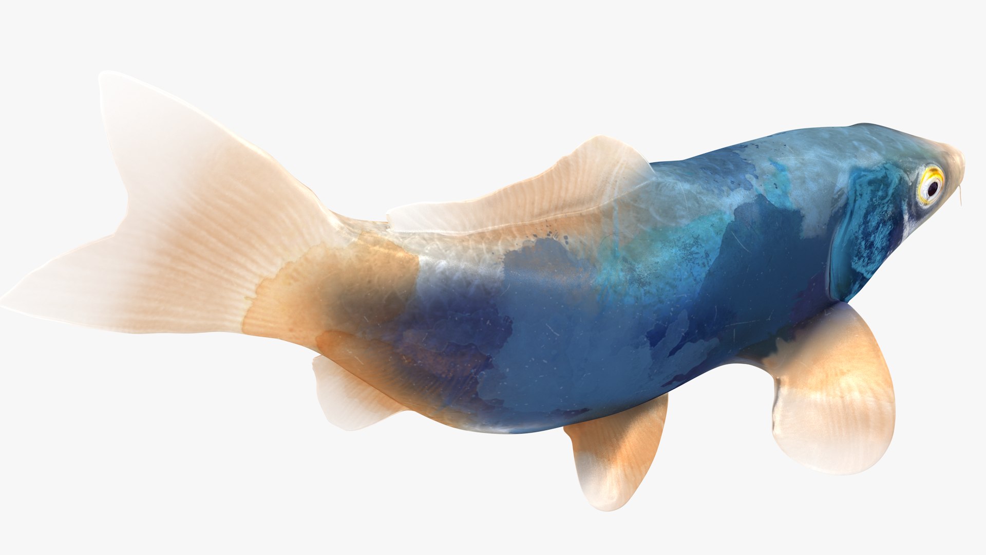 3D model Japanese Carp Fish Rigged L1834 - TurboSquid 1968139