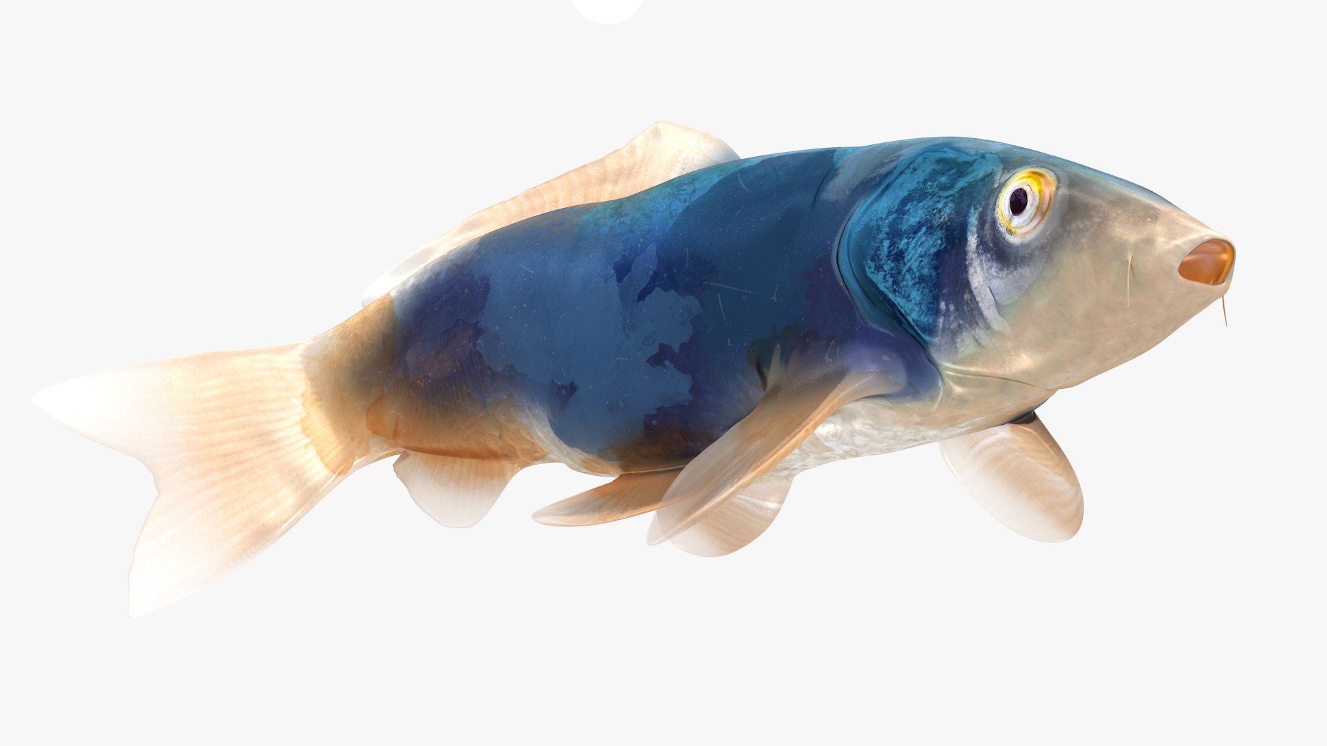 3D model Japanese Carp Fish Rigged L1834 - TurboSquid 1968139