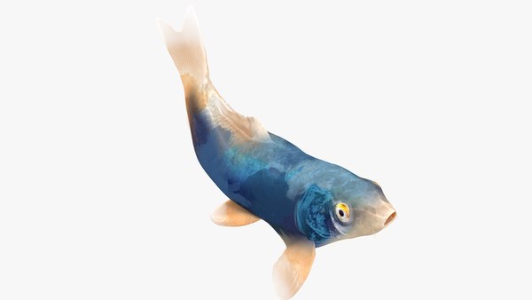 modelo 3d Japanese Carp Fish Rigged L1834 - TurboSquid 1968139