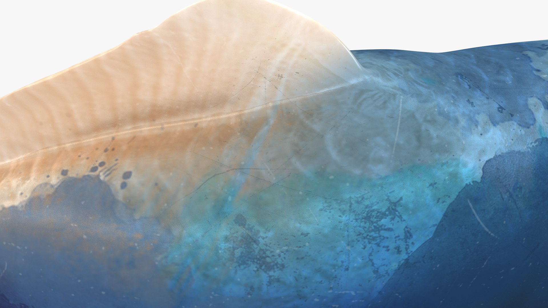 3D model Japanese Carp Fish Rigged L1834 - TurboSquid 1968139