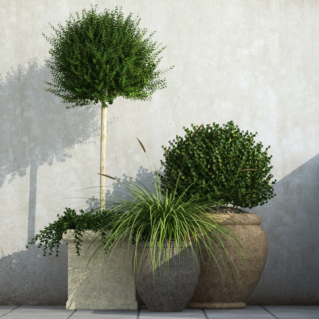 Plants 3d Max