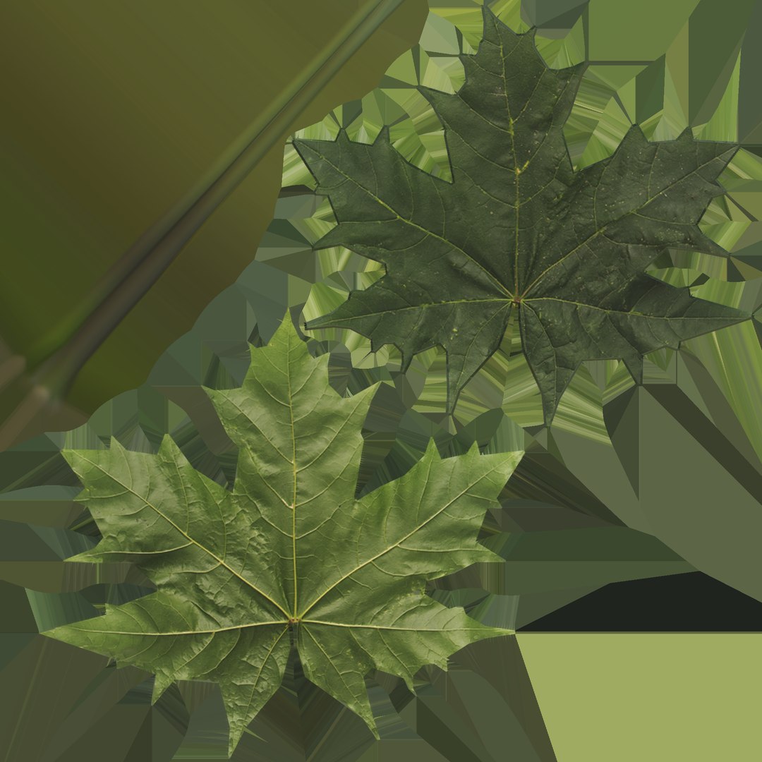 3D Model Maple Leaf Low-poly Textured 3d Model For Games - TurboSquid ...