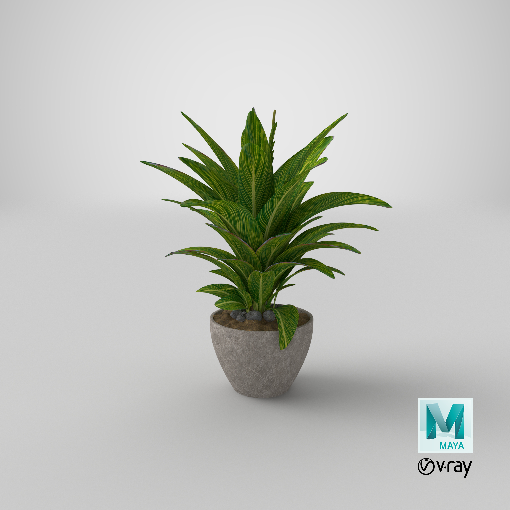 Plant design modeled 3D model - TurboSquid 1480751