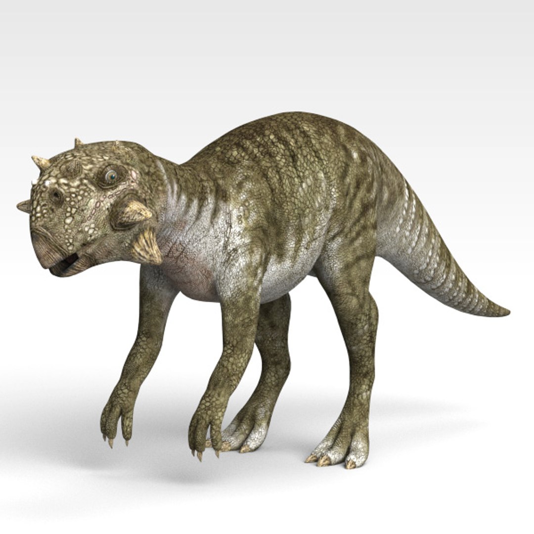 3D Psittacosaurus Saurolophus - TurboSquid 1502044