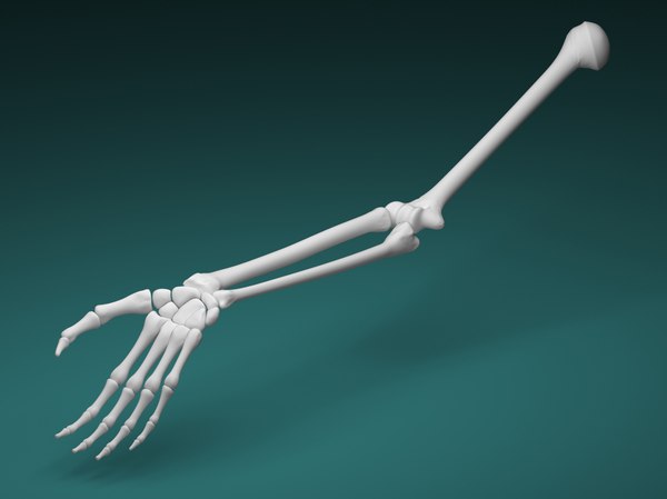 3D arm model - TurboSquid 1684374