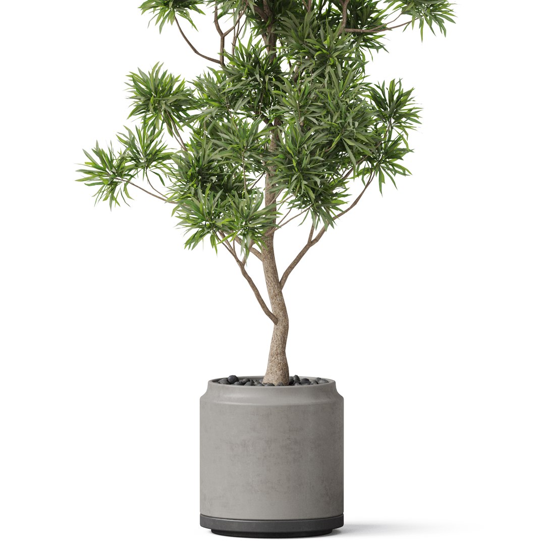 Plants collection 839 3D model - TurboSquid 1970691