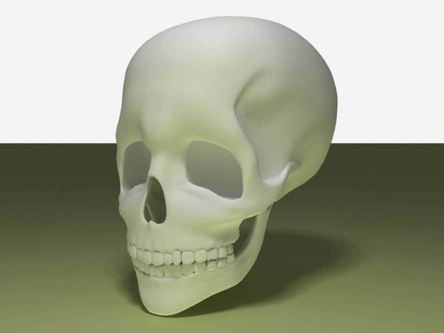 Free Skull 3d Model