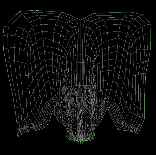 free skull 3d model