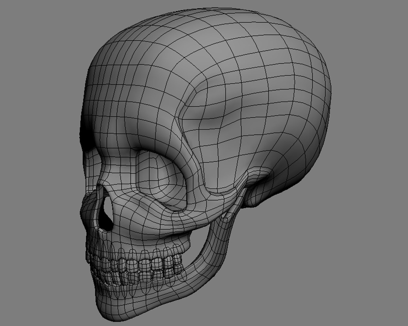 Free Skull 3d Model