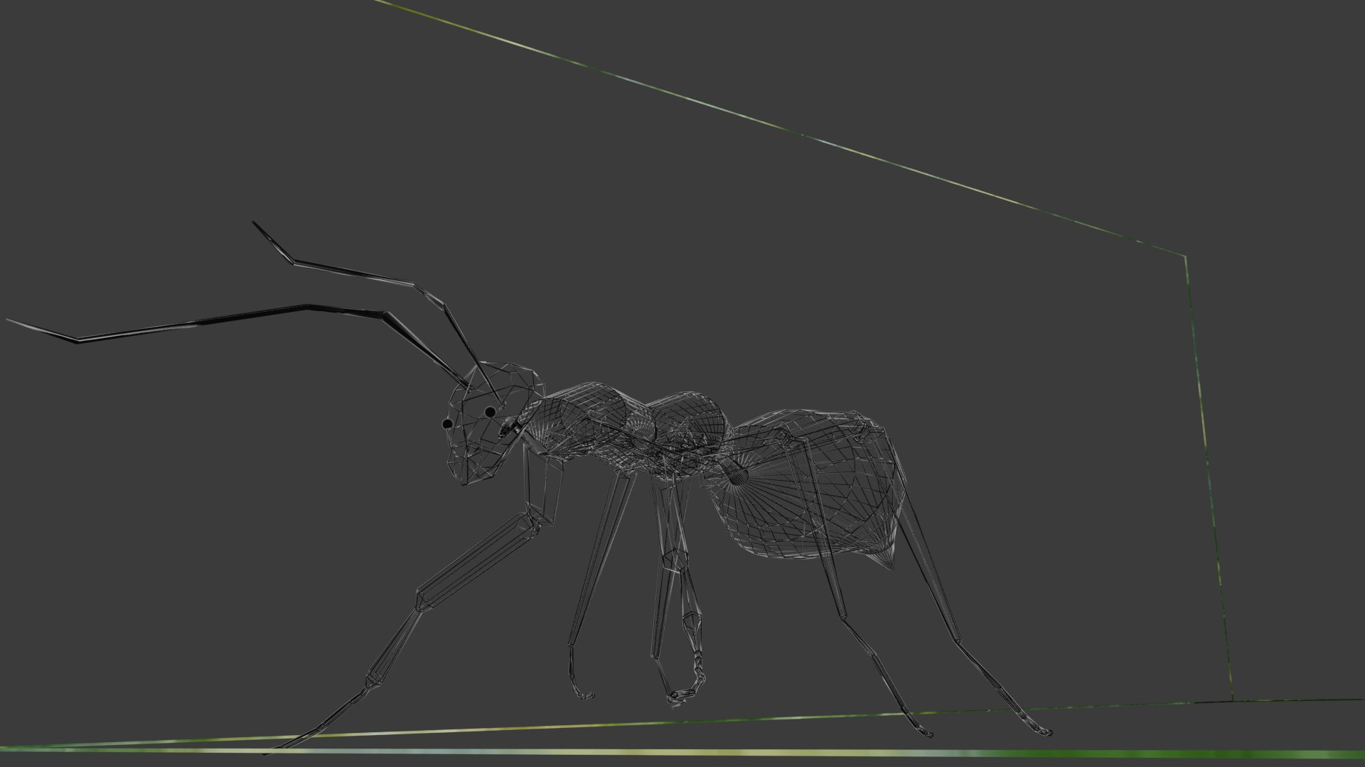 Ant 3D Model - TurboSquid 2253037