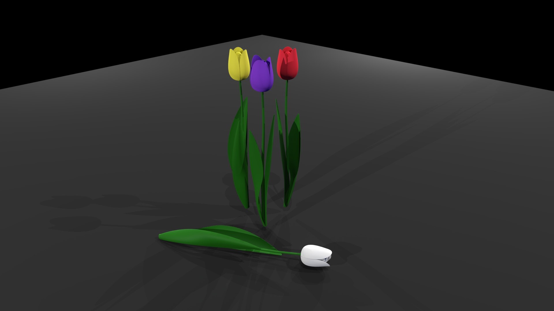 3D Tulip - TurboSquid 2114581