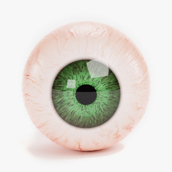 human eye 3d model
