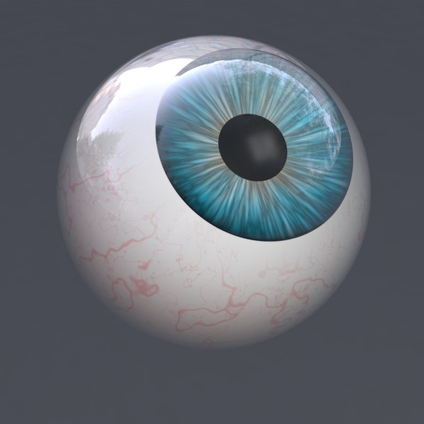 3D Eye Models | TurboSquid