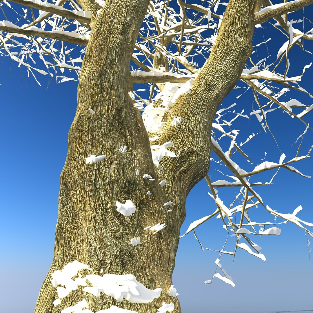 3d Winter Tree
