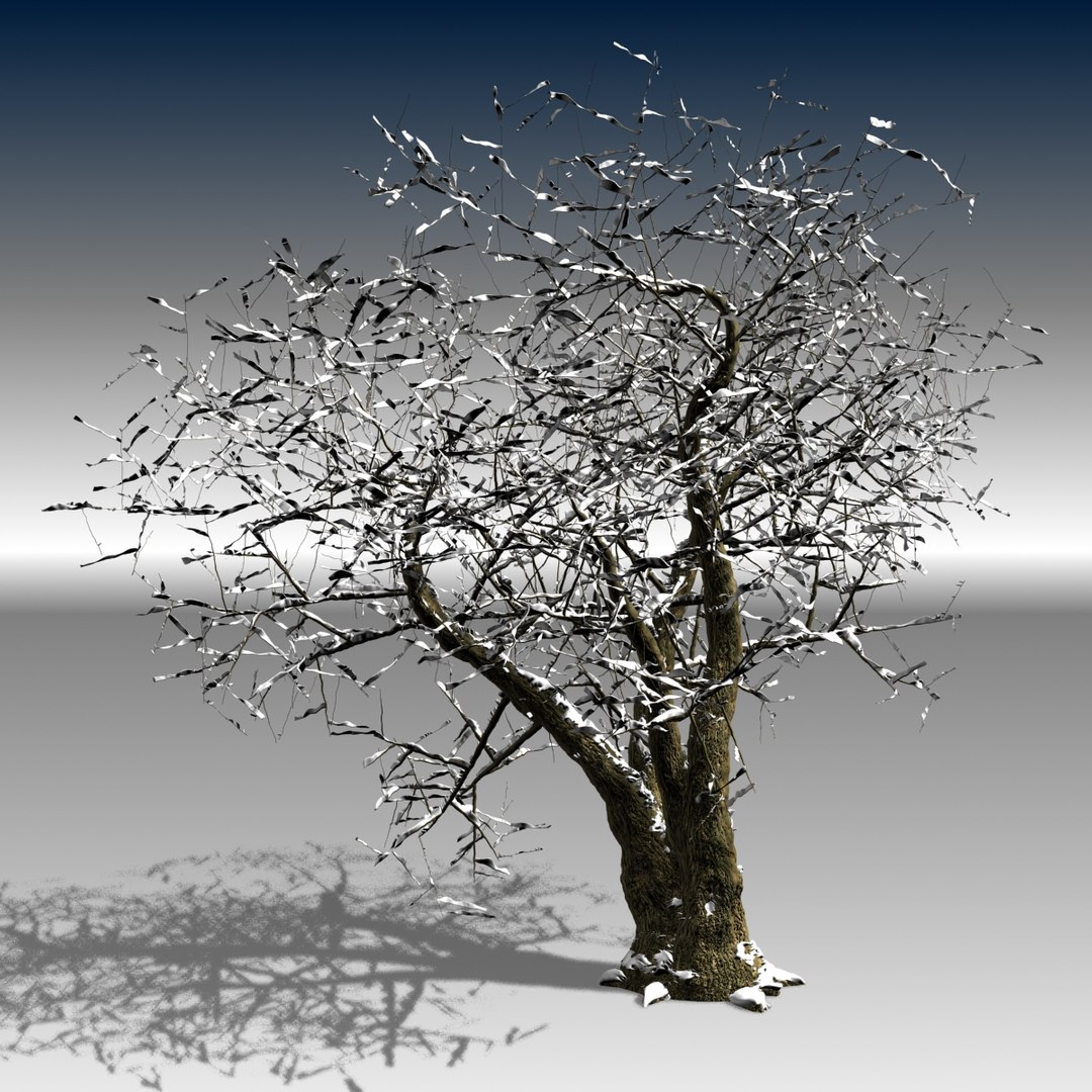 3d Winter Tree