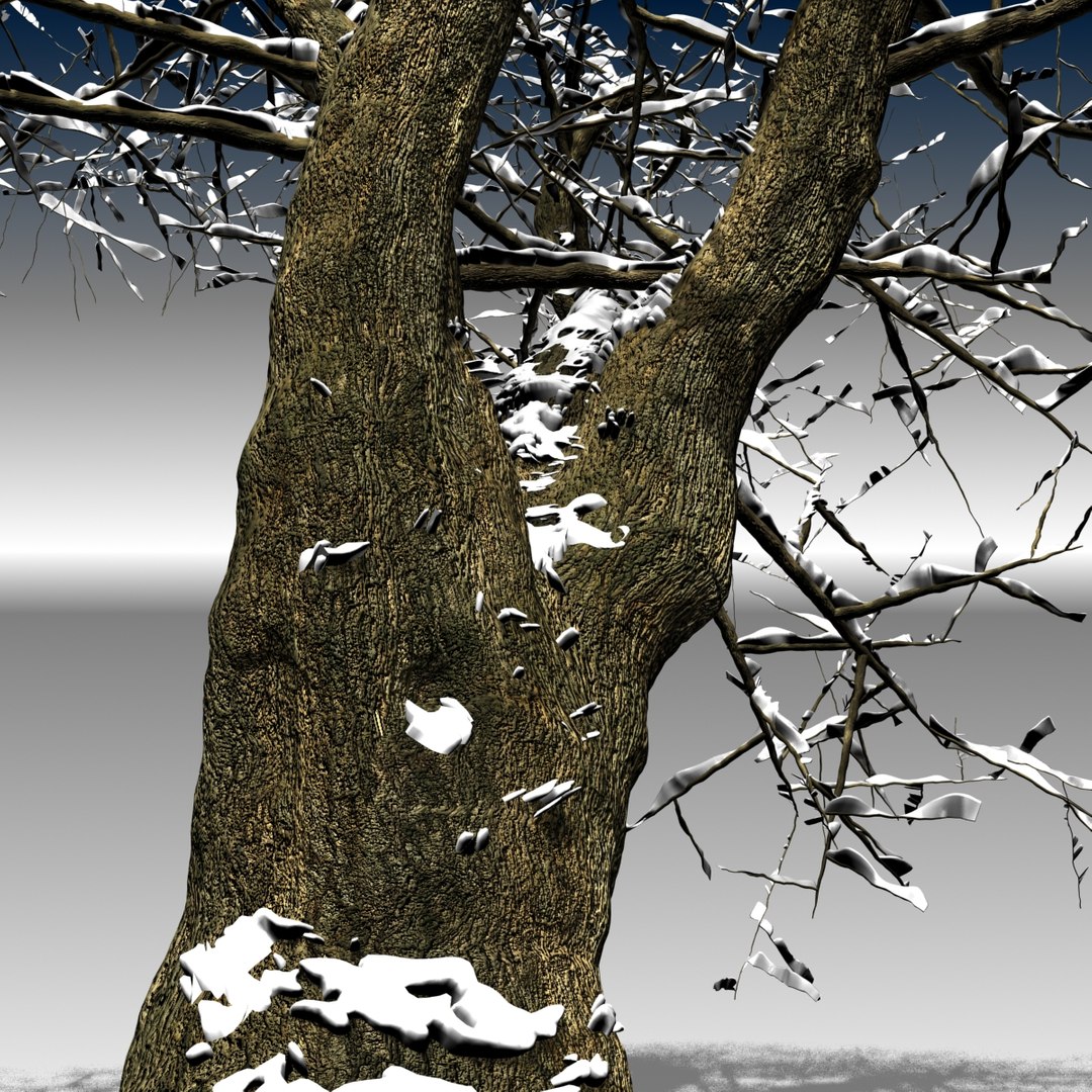 3d Winter Tree