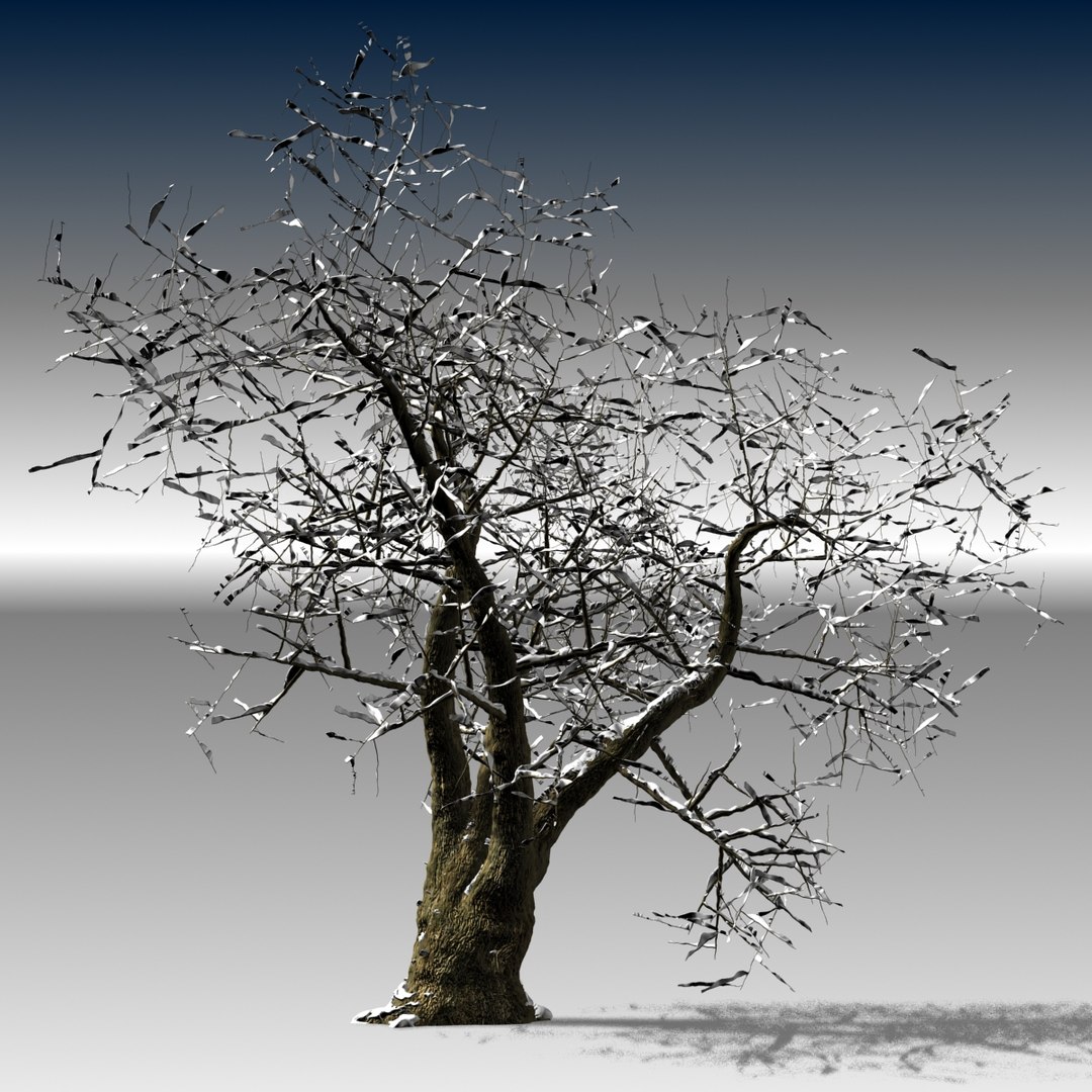 3d Winter Tree